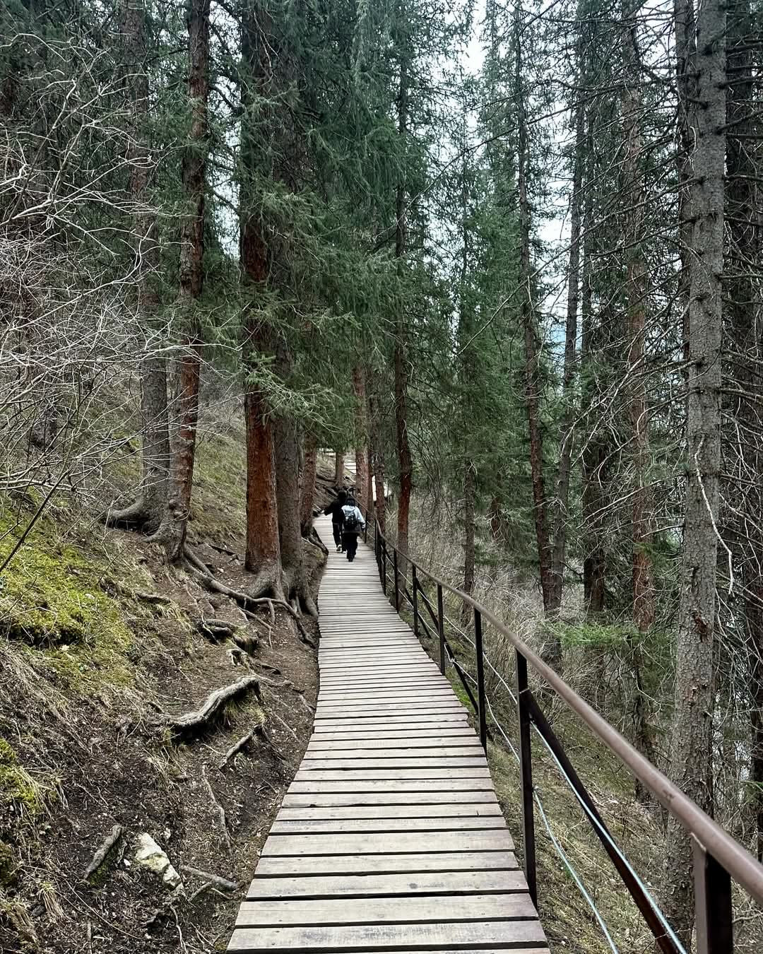 FB IMG 1746342624681 - Gifyu